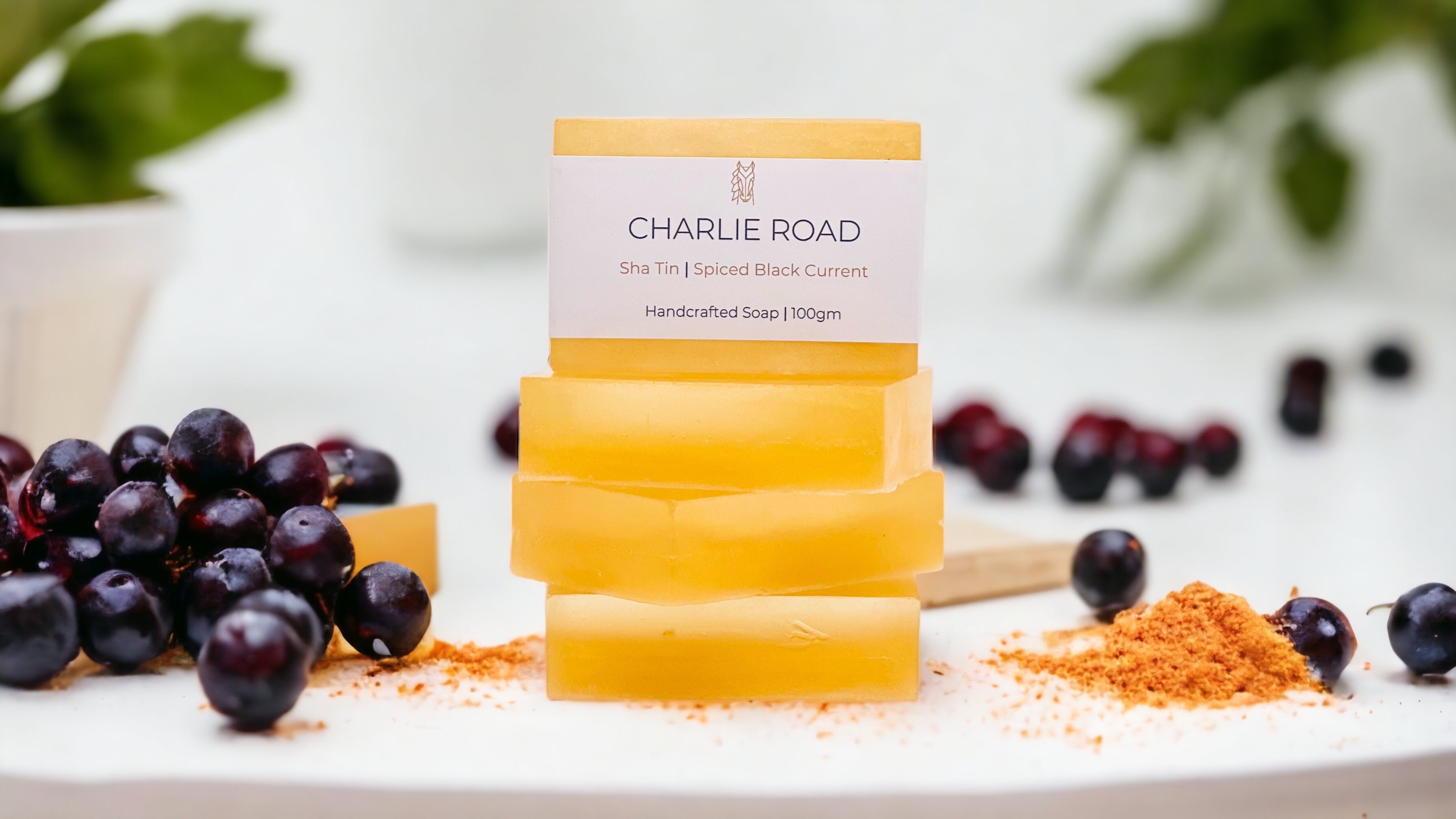 SHA TIN | Spiced Black Currant – Charlie Road